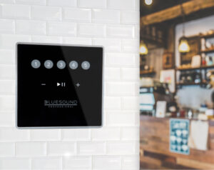 Home - Bluesound Professional