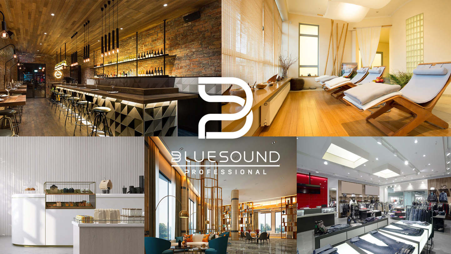 Software and Drivers - Bluesound Professional